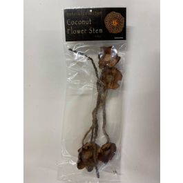 Norwood Aquarium - Natural Collection Coconut Flower Stems