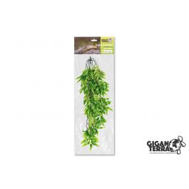 Norwood Aquarium - GiganT Bamboo Hanging Plant 263 - 70cm